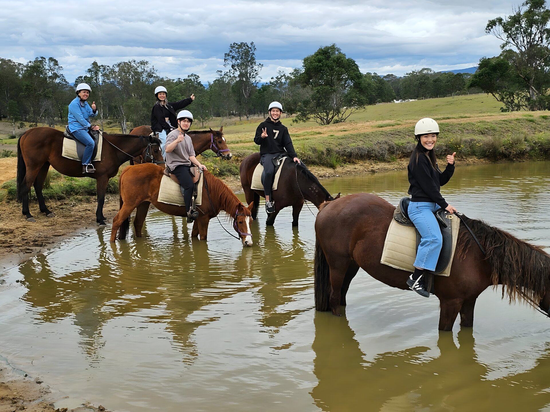 Bookings247: Hunter Valley Horse Riding And Adventures